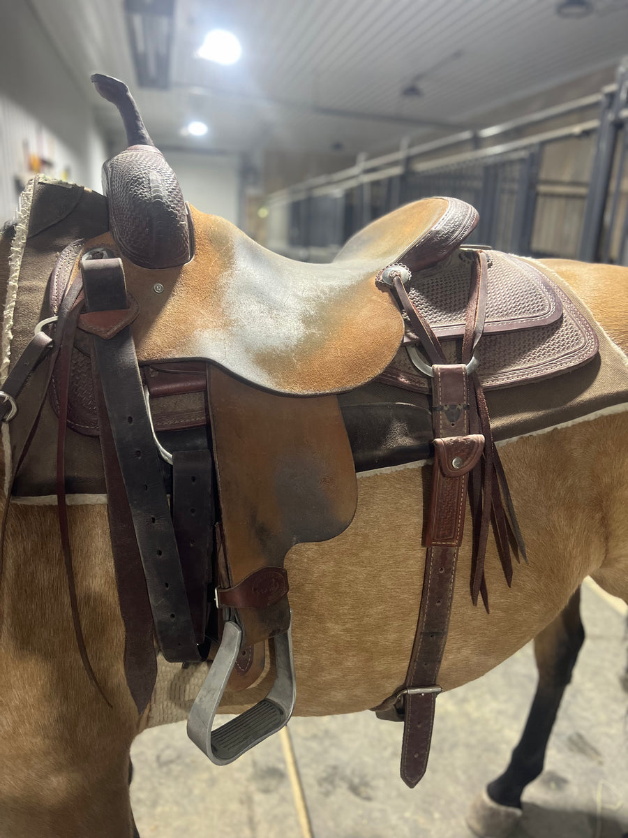 16 1/2” SRS Saddlery Ranch Cutter – Classy Concho